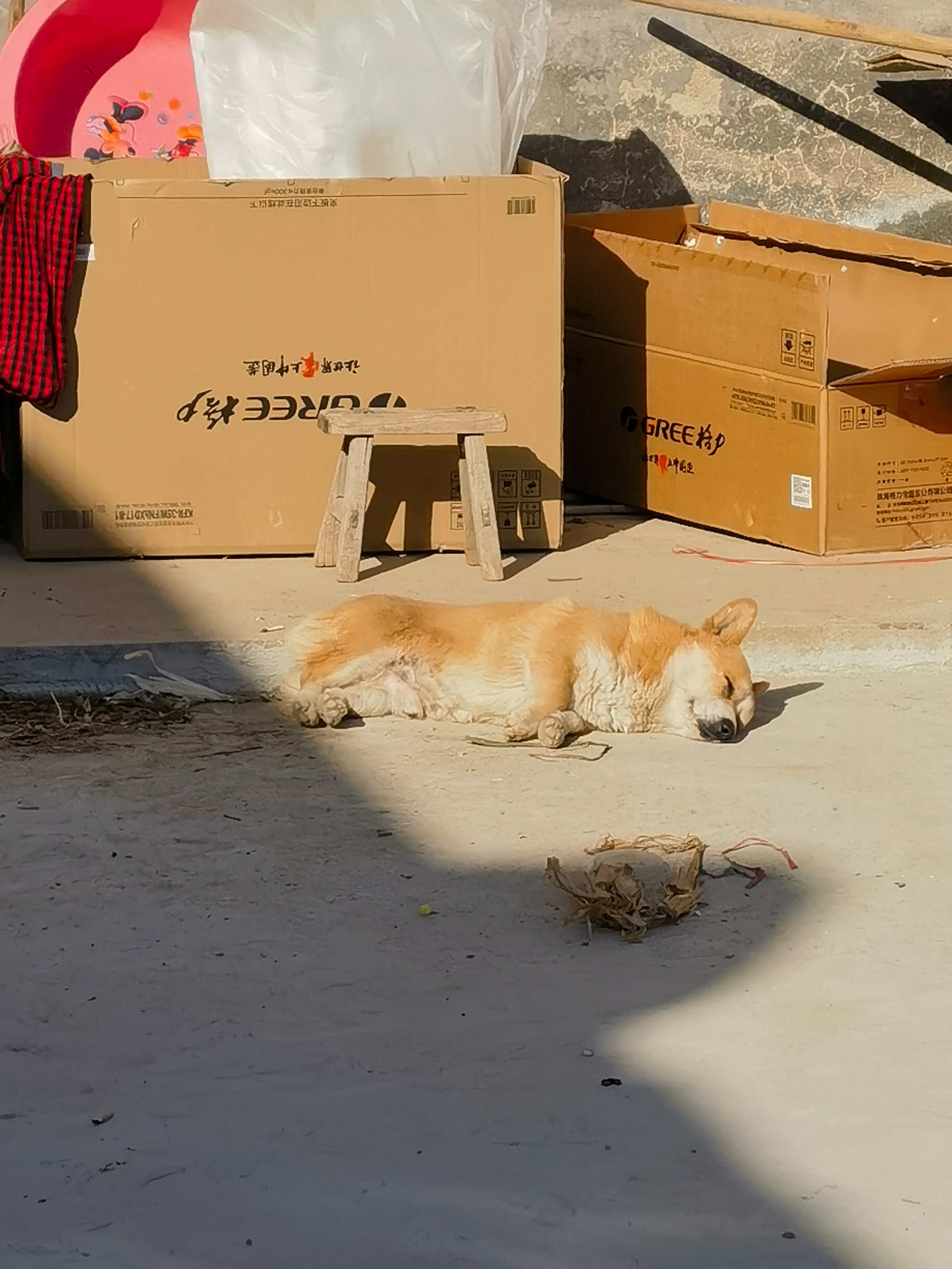 Moments - LittleWorld