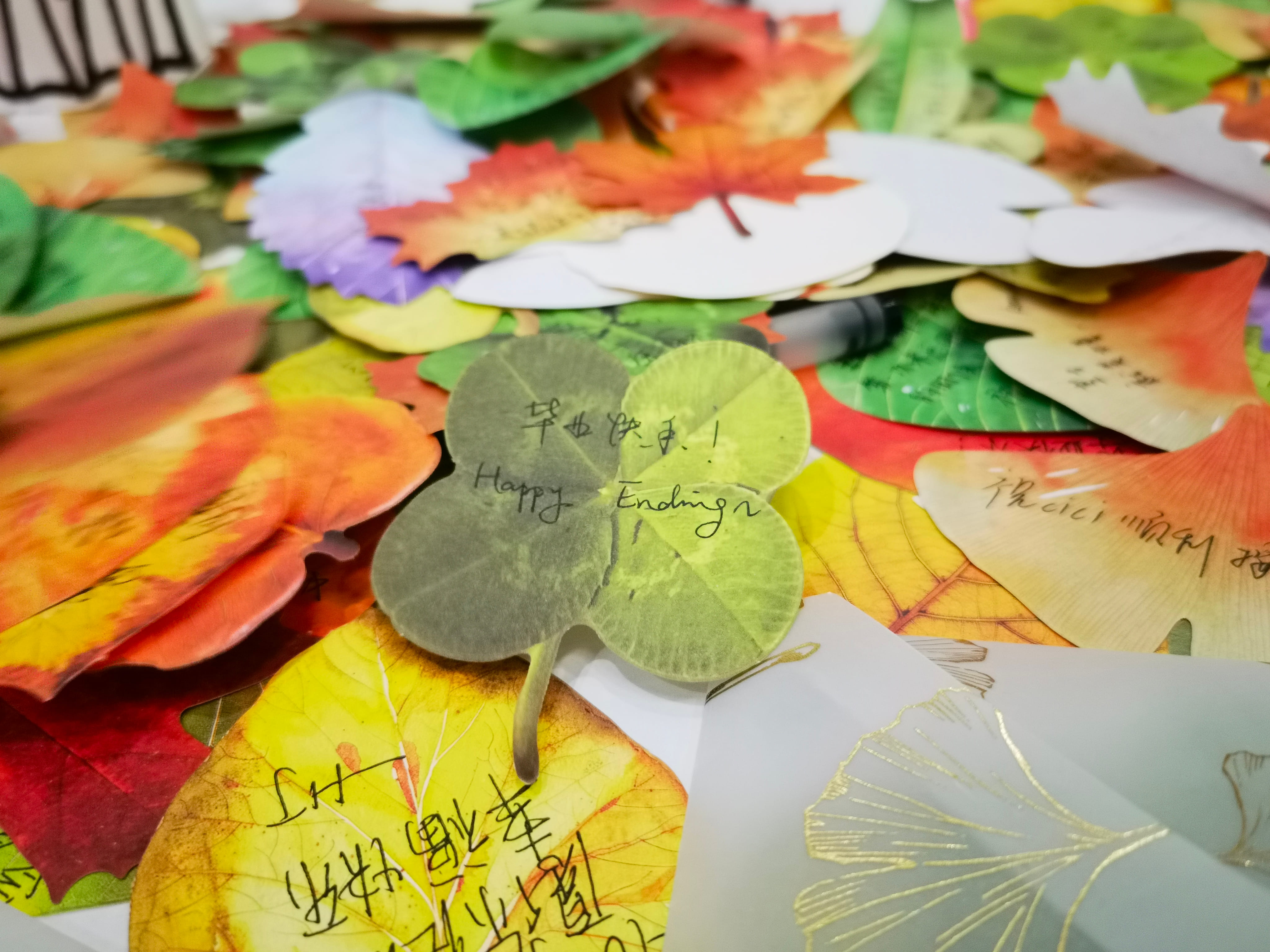 Category - Memory - LittleWorld