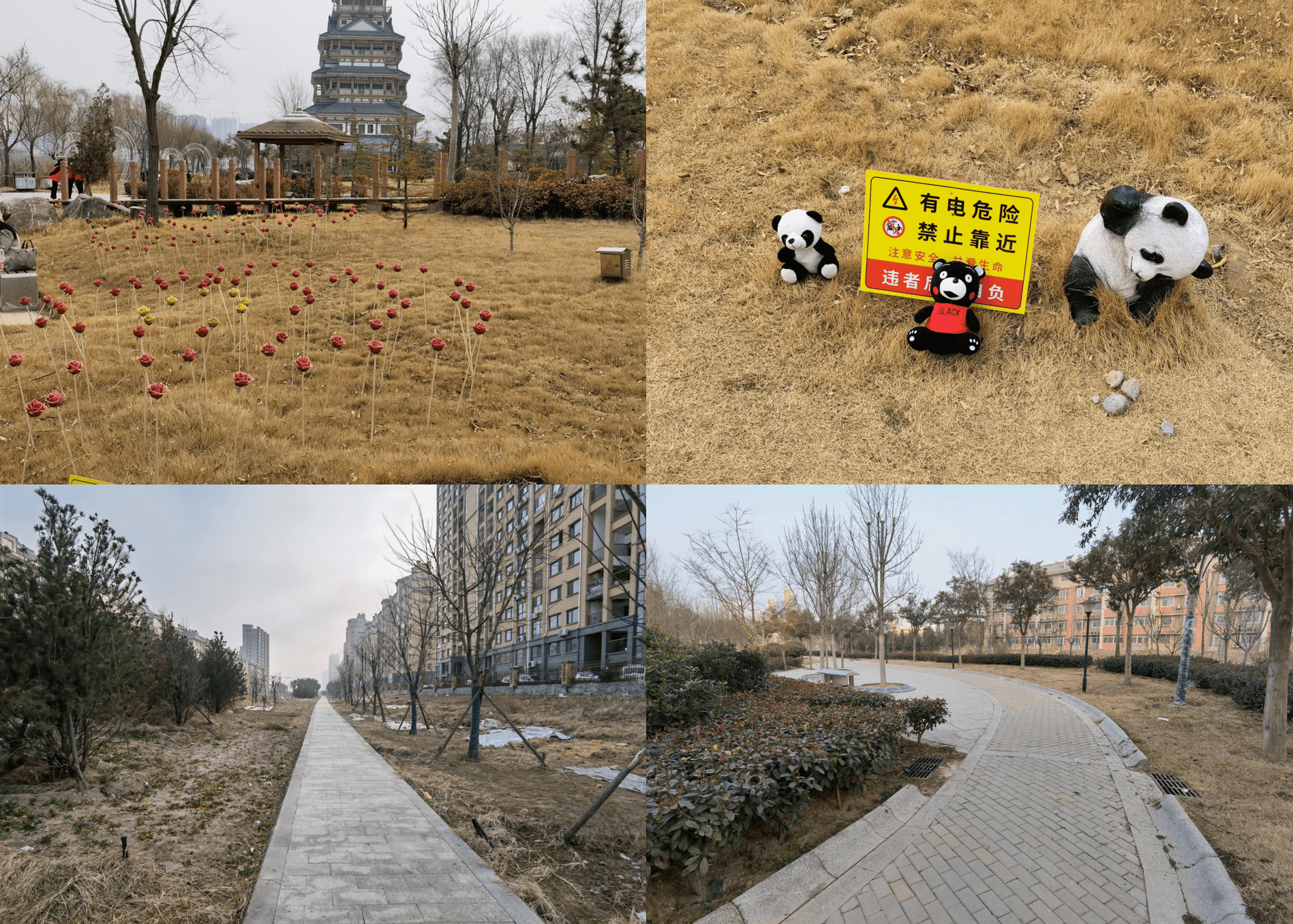 毕业季04：Memory，弥梦离——熟悉 - LittleWorld